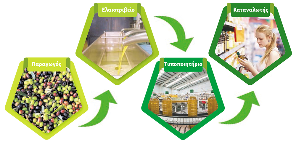 Ελαιόλαδο: Συστήμα ιχνηλασιμότητας από τον ελαιώνα μέχρι το ράφι