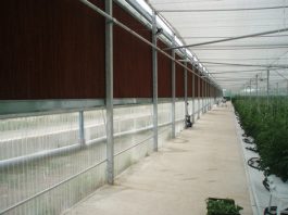 Κατασκευή θερμοκηπίου: Το κόστος, η διαδικασία και η χρηματοδότηση