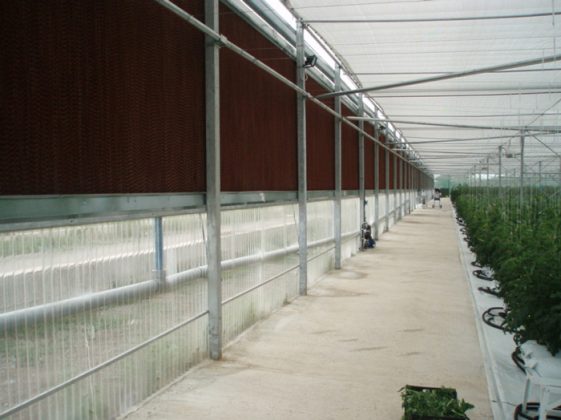 Κατασκευή θερμοκηπίου: Το κόστος, η διαδικασία και η χρηματοδότηση