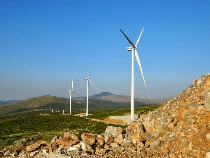 Δεσφίνα: Κόβουν δέντρα για τις ανεμογεννήτριες