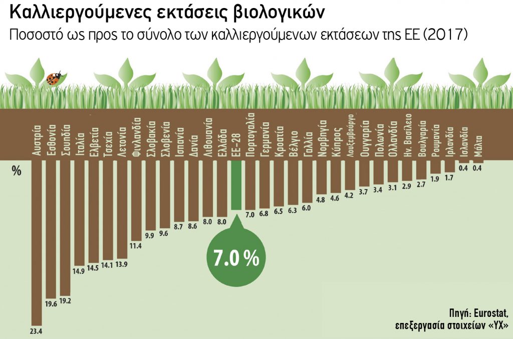 Είναι, τελικά, τα βιολογικά τρόφιμα ακριβά;