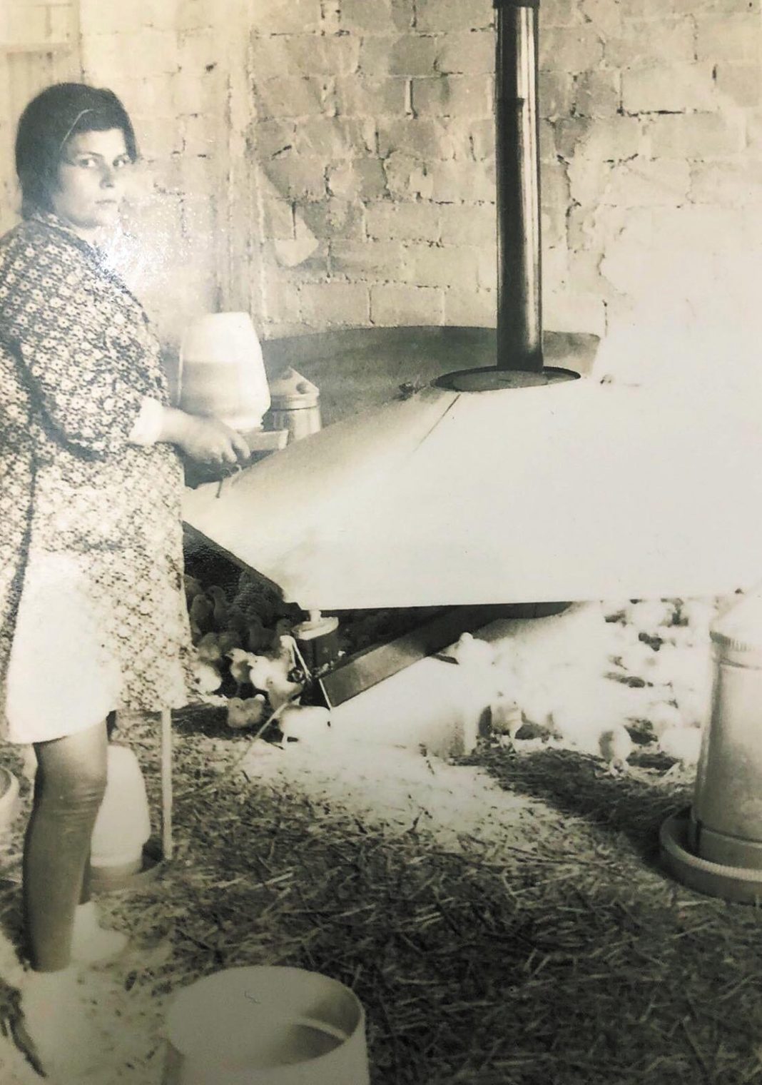 Αμβροσιάδης κοτόπουλα Ολύμπου: Ένα ταξίδι στο παρελθόν γεμάτο γεύση ...