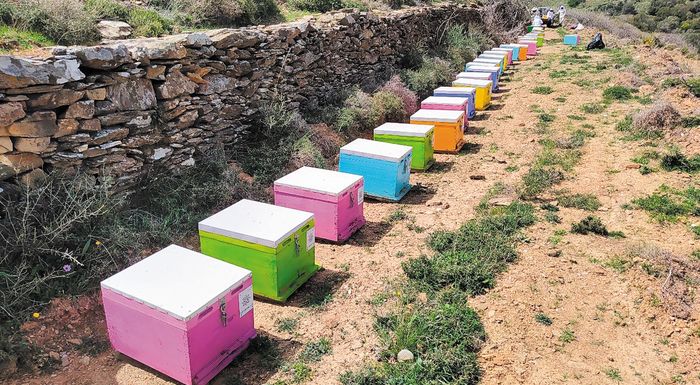 Η µελισσοκοµία απαιτεί λειτουργία µε βάση τη λογική των µελισσών
