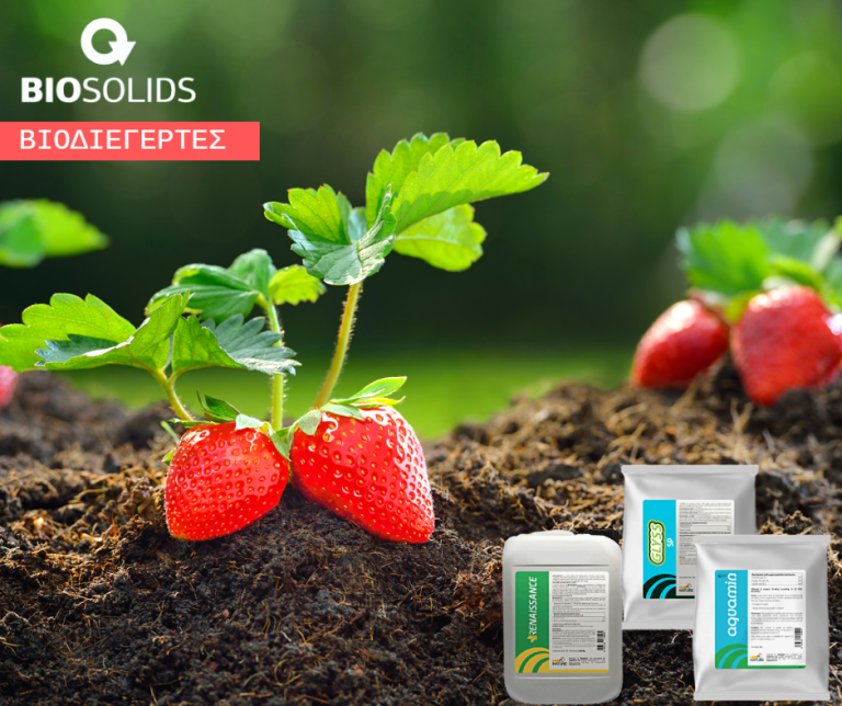 RENAISSANSE, GLYSS, AQUAMIN: Τα προϊόντα της Biosolids S.A. για γερές βάσεις για μια υγιή και ...