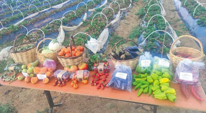 Φρούτα και κηπευτικά: Από το χωράφι στο πιάτο