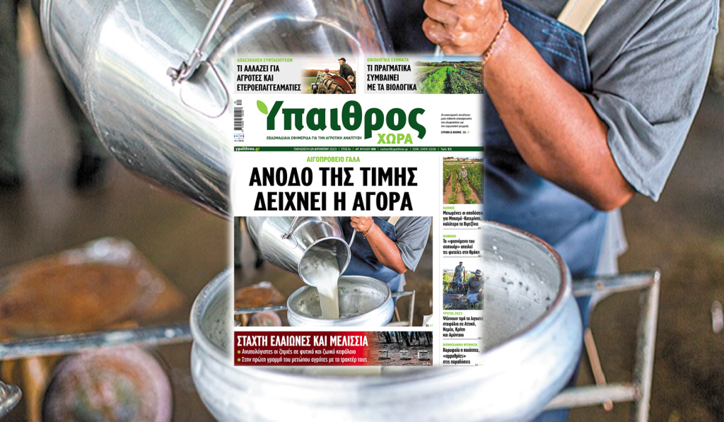 Διαβάστε στην «ΥΧ»: Αιγοπρόβειο γάλα - Άνοδο της τιμής δείχνει η αγορά