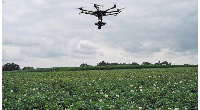 Τεχνητή νοημοσύνη και drone ανιχνεύουν την αλτερνάρια στην Πατάτα