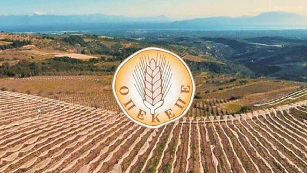 Αναμένεται απάντηση ΟΠΕΚΕΠΕ - ΚΥΔ στην πρωτοβουλία ΕΘΕΑΣ για δηλώσεις ...
