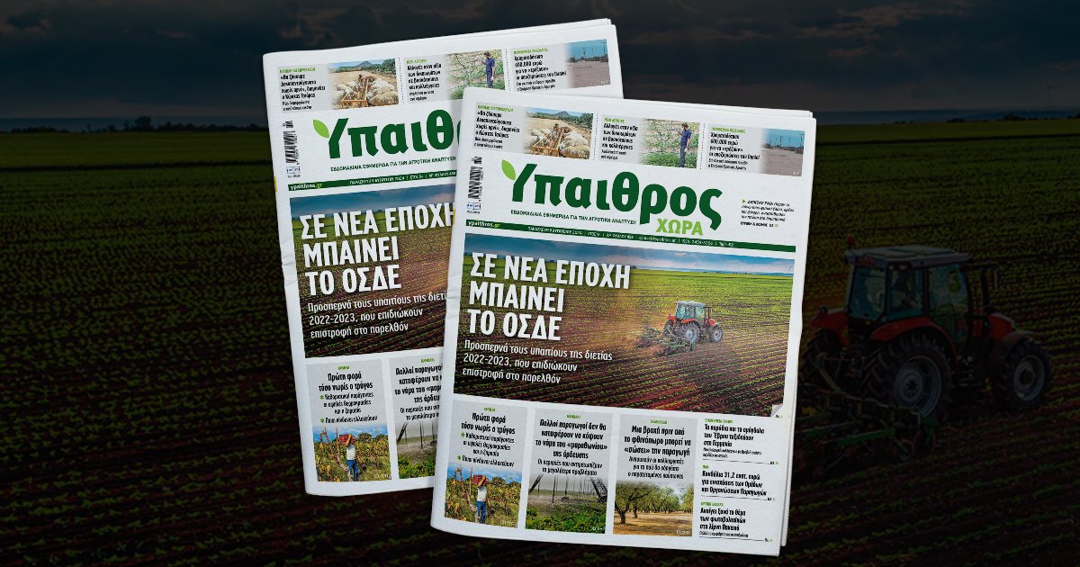 Φύλλο 458 Παρασκευή 9 Αυγούστου 2024 - ypaithros.gr