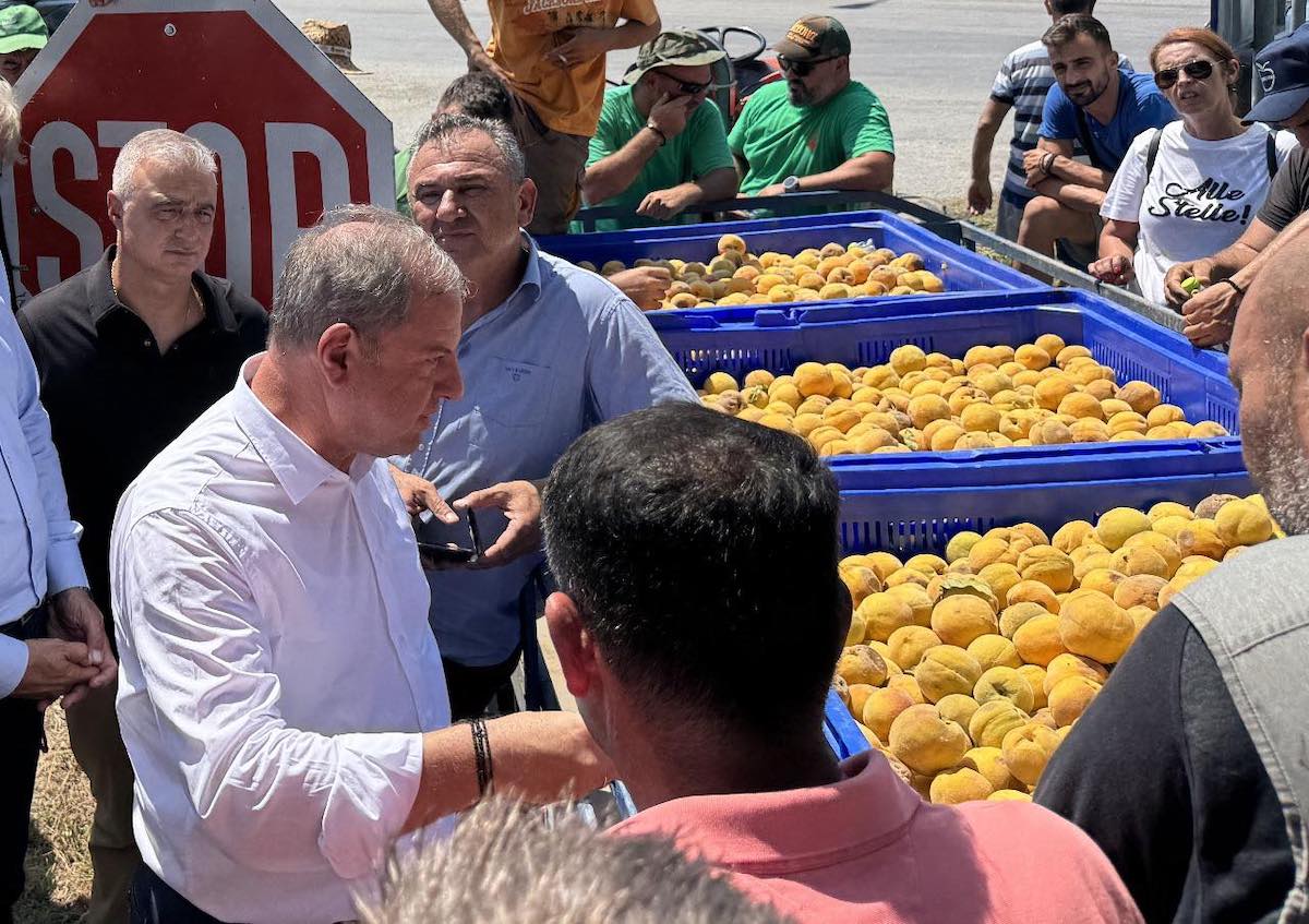 Στις πληγείσες από χαλαζόπτωση περιοχές της Ημαθίας ο ΥφΑΑΤ Διονύσης ...