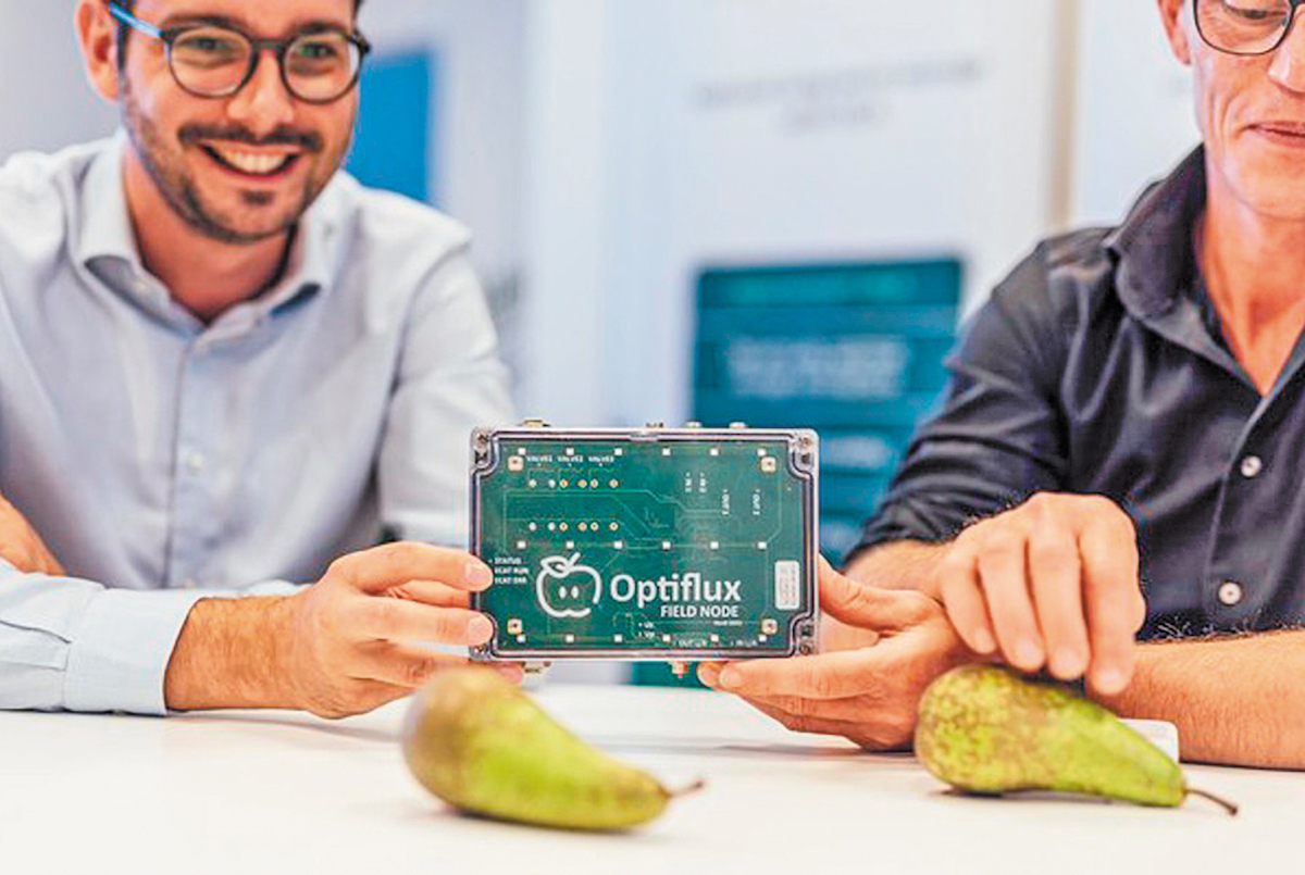 Optiflux: Προσδιορισμός της ποιότητας της συγκομιδής με μία απλή φωτογραφία