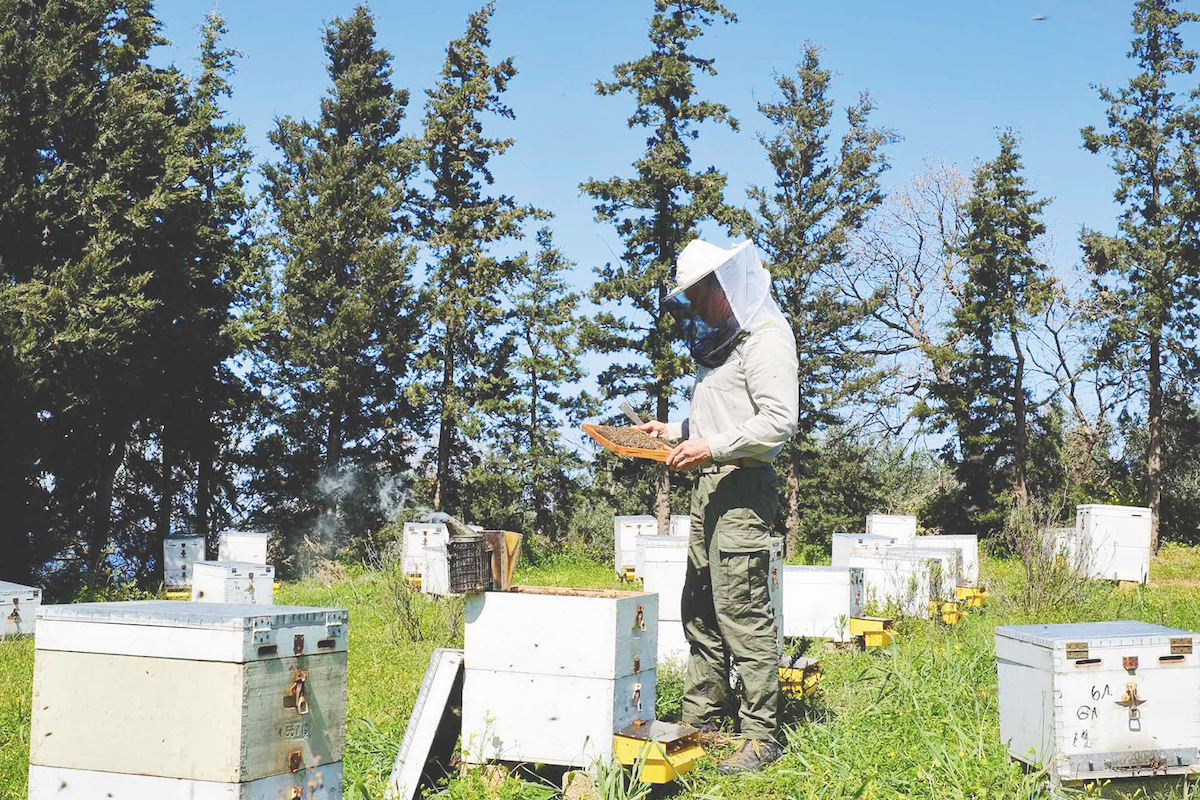 Μελισσοκομία: Προ των πυλών ο αφανισμός του κλάδου