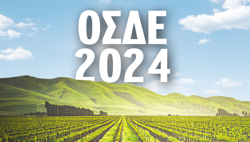 ΟΣΔΕ 2024: Μικρή παράταση στη διαδικασία υποβολής των δηλώσεων ...