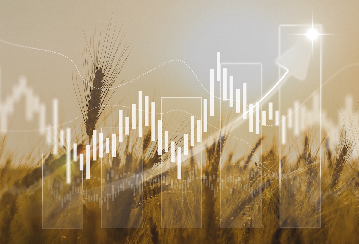 Αύξηση του δείκτη τιμών τροφίμων του FAO τον Οκτώβριο – To υψηλότερο ...