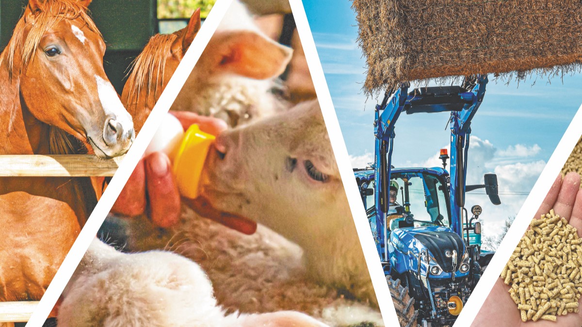 13η Διεθνής Έκθεση για την κτηνοτροφια και την πτηνοτροφια: Η φετινή ...