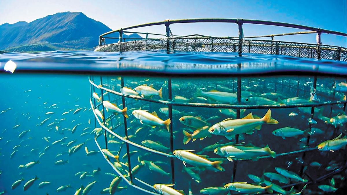 Aqua Bridge: Επίσημη επιβεβαίωση για την εξαγορά της Avramar