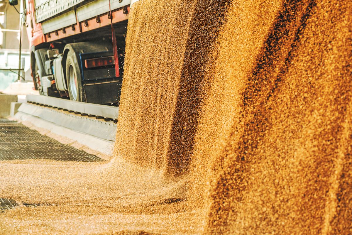 Αύξησαν τις θέσεις τους τα funds στα συμβόλαια καλαμποκιού