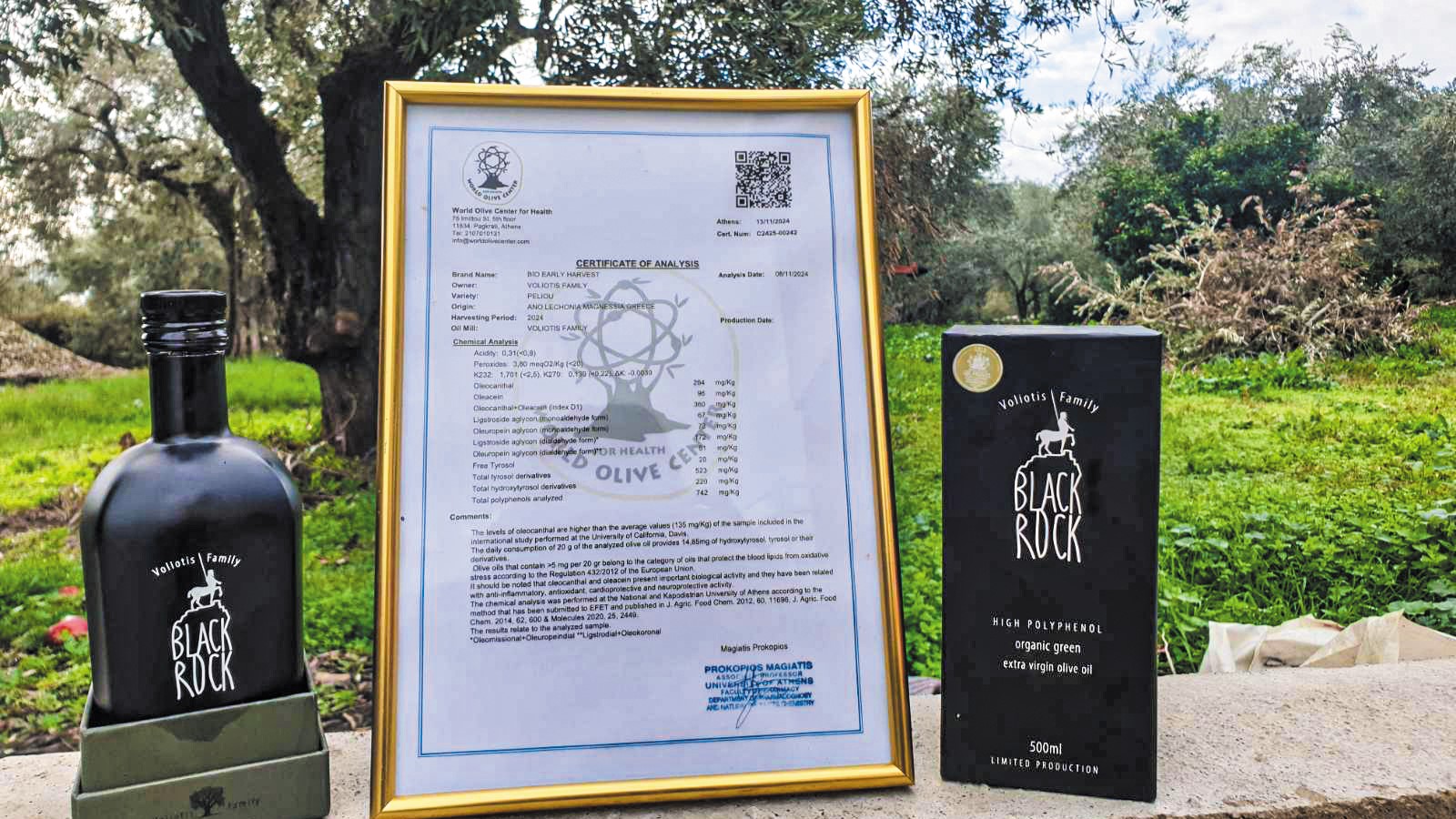 Voliotis Family: Αντλώντας υπεραξία από το ελαιόλαδο Πηλίου