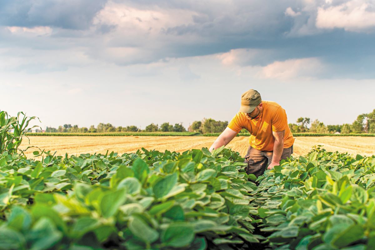 Νέοι Αγροτες: Τι ισχύει με τις βεβαιώσεις νεοεισερχομένων ΜΑΑΕ
