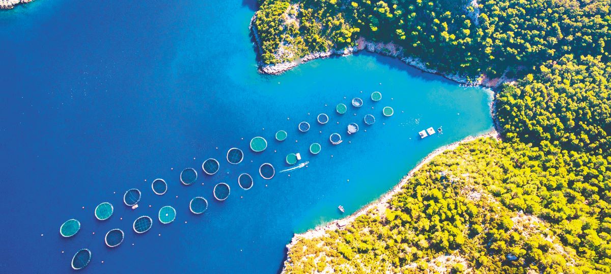 Αλιεία και υδατοκαλλιέργεια: Από 60% έως 100% η δημόσια ενίσχυση για τη ...