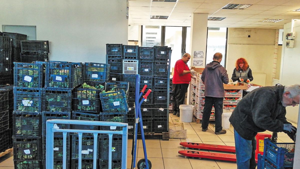 Social Plate: Πρόγραμμα για τη διάσωση φρούτων και λαχανικών από τη σπατάλη