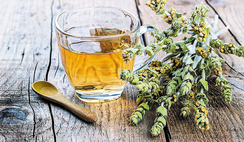 Μειώνεται η παραγωγή σε τσάι στον Πάρνωνα