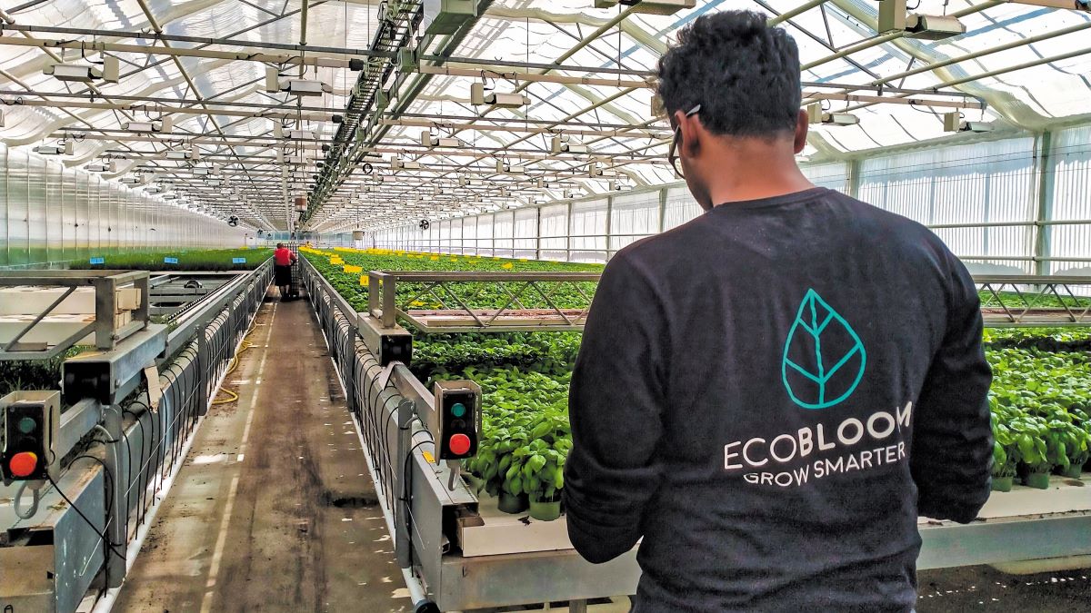 Ecobloom: Τεχνητή νοημοσύνη και γεωργία εσωτερικού χώρου για καλύτερη ...