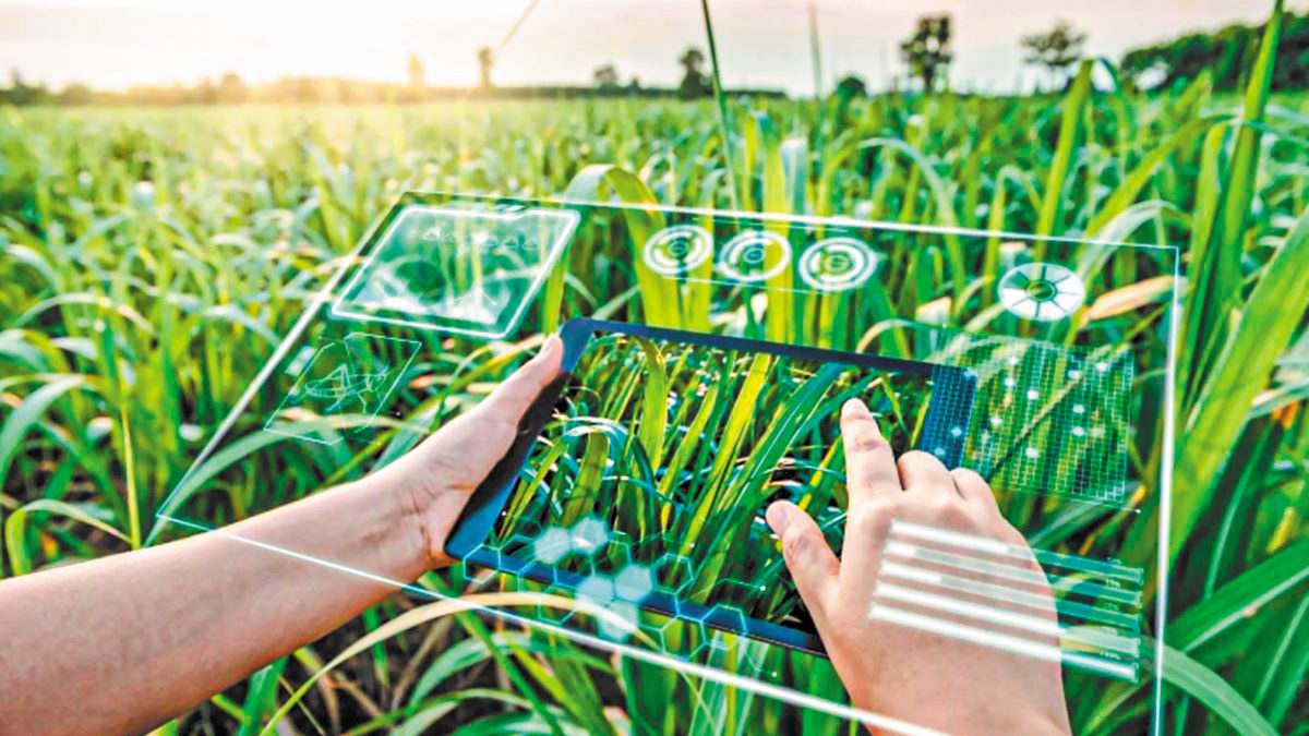 Agritech: Έργο ψηφιακού μετασχηματισμού στην αγροτική εκπαίδευση