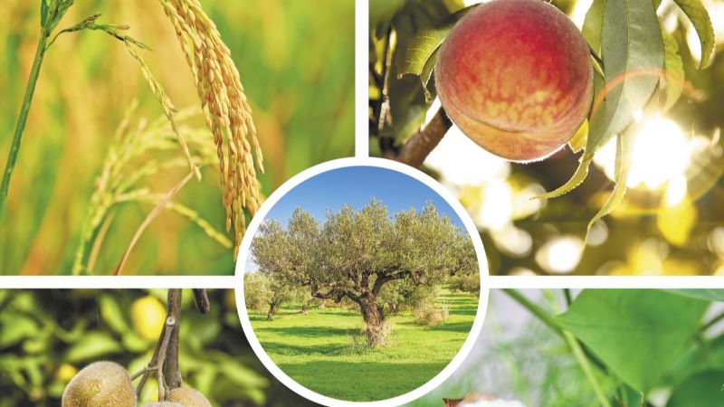 Περιφέρεια Κεντρικής Μακεδονίας - ypaithros.gr