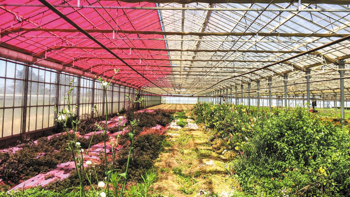 Προτάσεις για την προσαρμογή της πρόσκλησης για τα θερμοκήπια στις ...