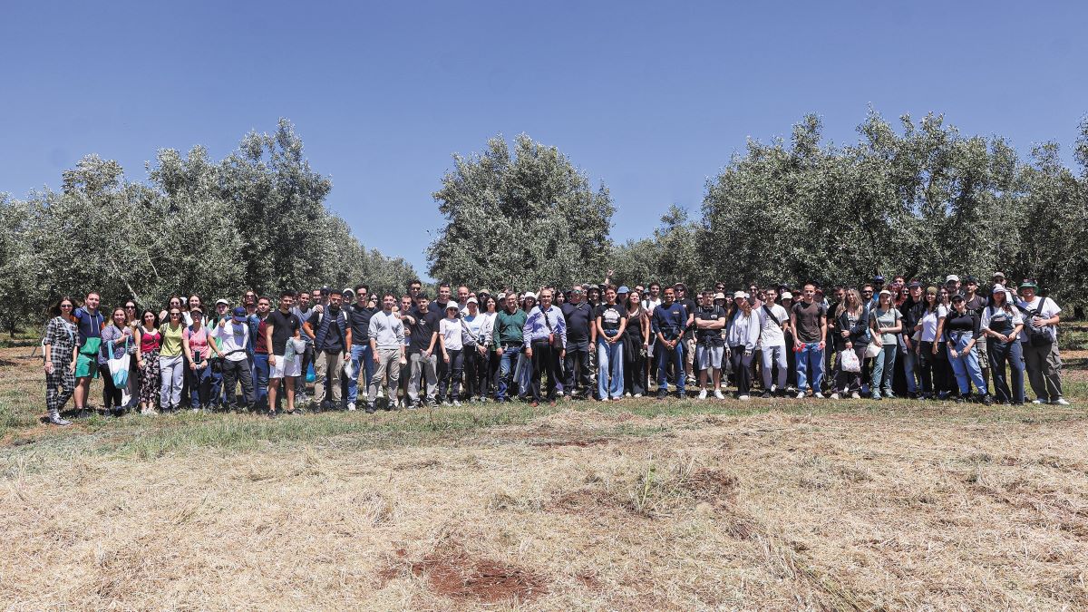 ΓΠΑ: Βιωματική μάθηση σε εντομολογία και φυτοπαθολογία μέσω ...
