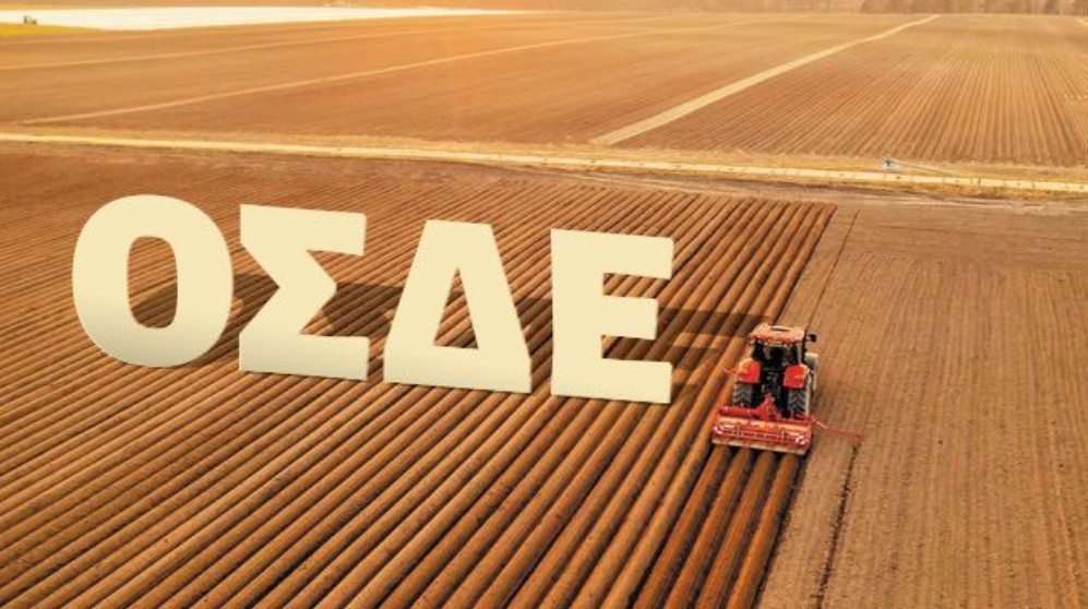 Παράταση έως τα τέλη Αυγούστου για τις δηλώσεις ΟΣΔΕ 2025 – Αναμένεται ...