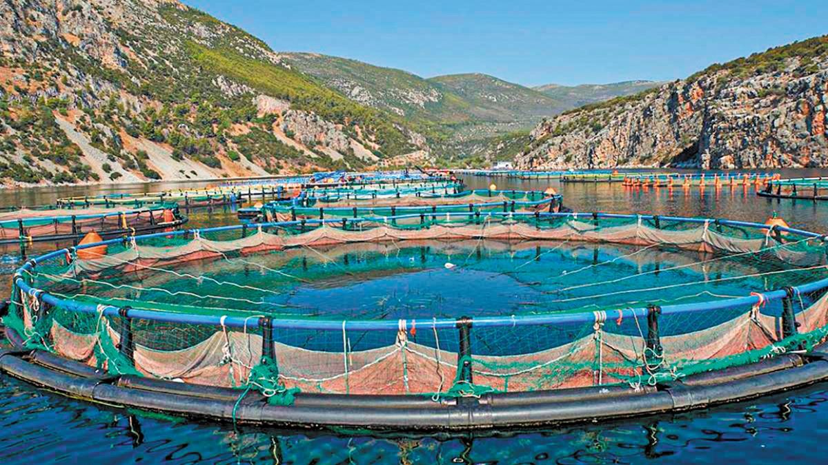 Καναδική εταιρεία ενδιαφέρεται για την Avramar, υπό όρους