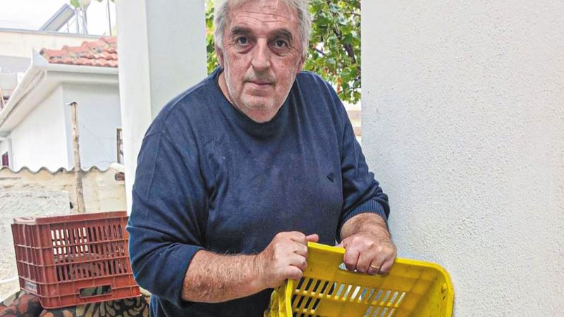 Θεσσαλια: Ζημιές στην καστανοπαραγωγή του Πηλίου από τις βροχές