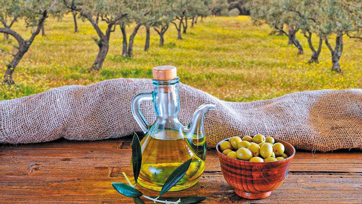 ΑΓΡΟΞΕΝΙΑ και Ελληνοϊταλικό Επιμελητήριο ενώνουν δυνάμεις, με στόχο την ...