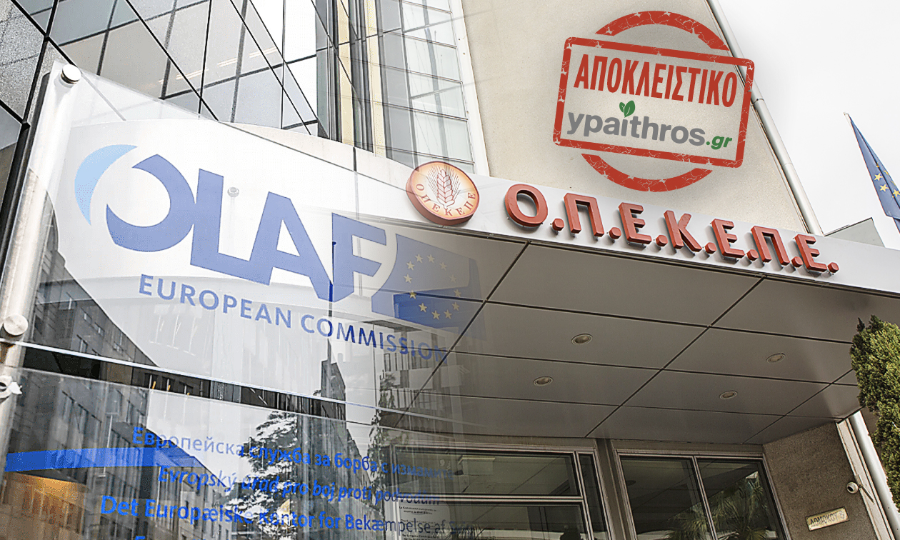 Η απάντηση της OLAF στο ypaithros.gr – Τι σηματοδοτεί η παρουσία της ...