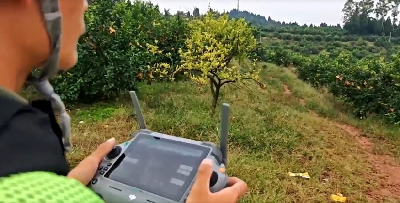 Κίνα: Συγκομιδή λεμονιών με... drones στους ορεινούς οπωρώνες της ...
